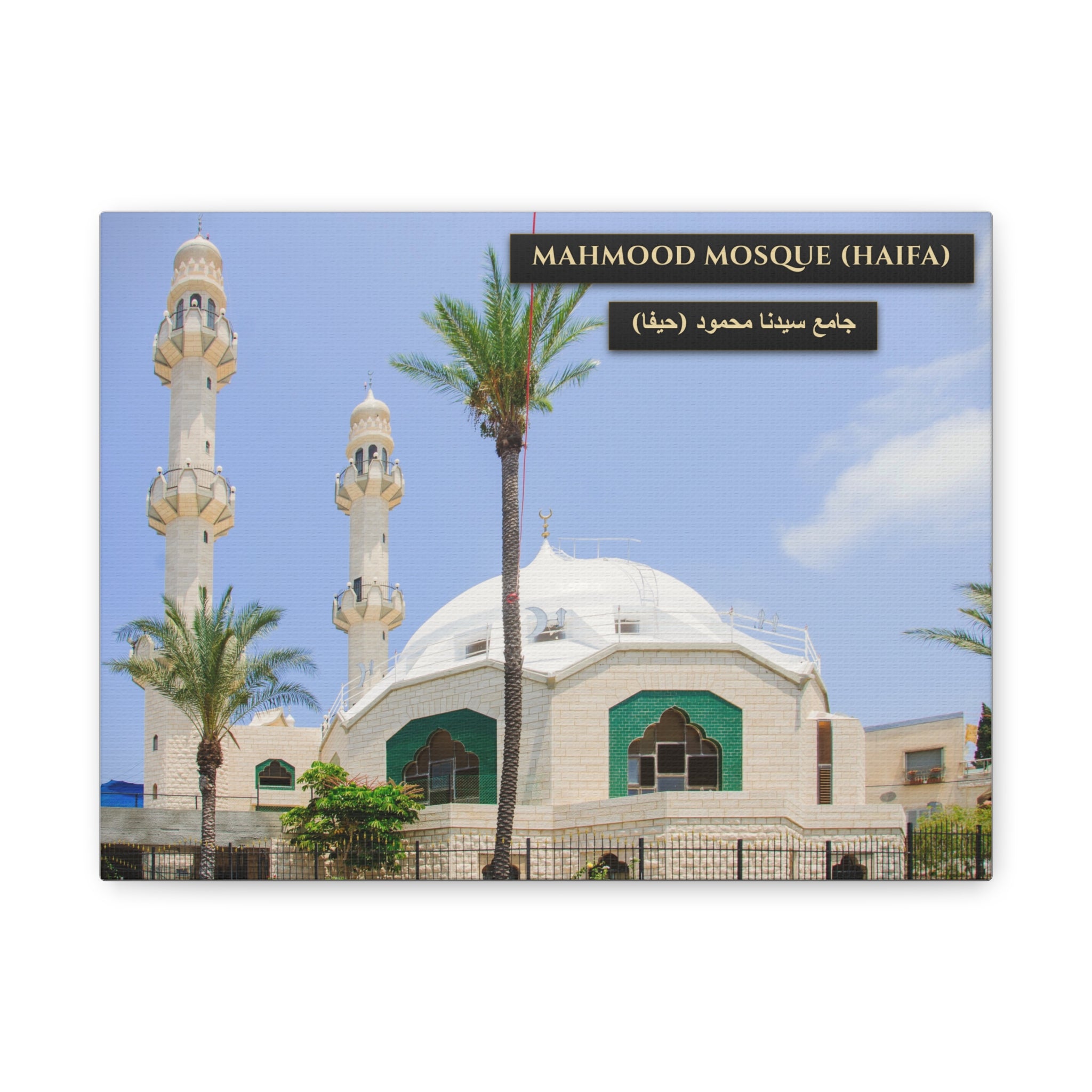 Mahmood Mosque (Haifa) [Canvas] – Mosques of Palestine